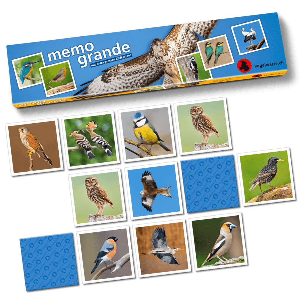 Memo Spiele - individuell für Sie produziert - Hersteller